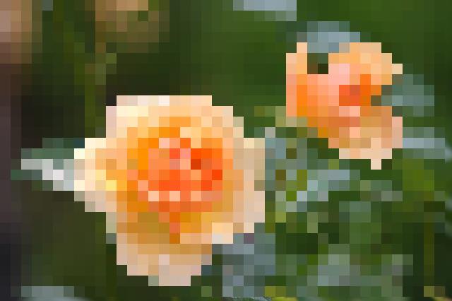 Normal Pixelate Implementation in C# - Programming Algorithms Normal Pixelate Implementation in C# - Programming Algorithms